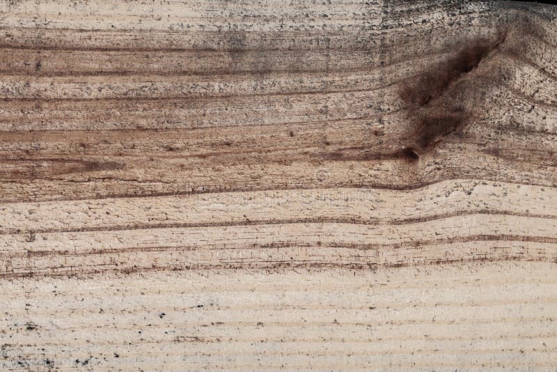 Rustic Wooden Texture, Empty Soft Wood Background Stock Photo - Image ...