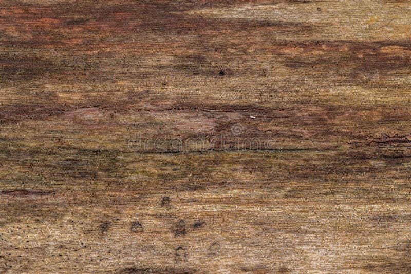 Rustic Wooden Texture with Natural Patterns Stock Photo - Image of ...