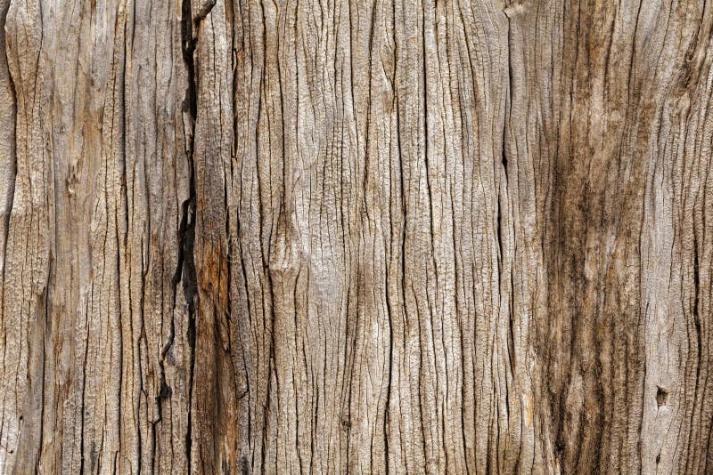 Rustic wooden texture stock image. Image of trunk, decoration - 60547573