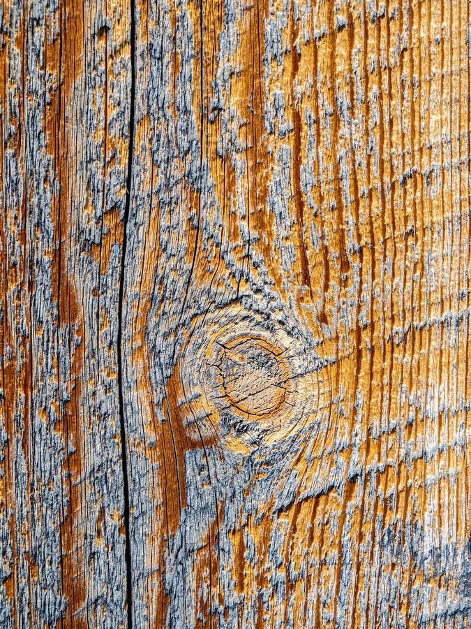 Rustic Woodgrain Texture with Knot Stock Image - Image of wood, rustic ...