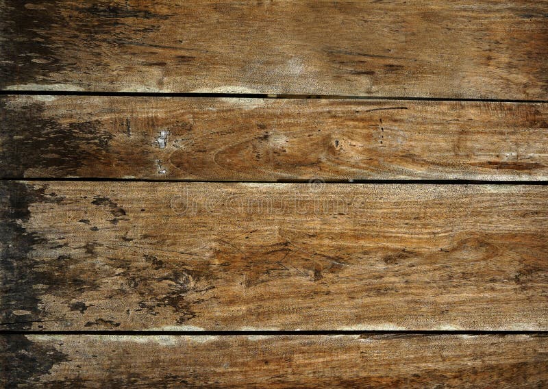 Rustic Woods, a Timeless Backdrop Stock Photo - Image of rustic, nature ...