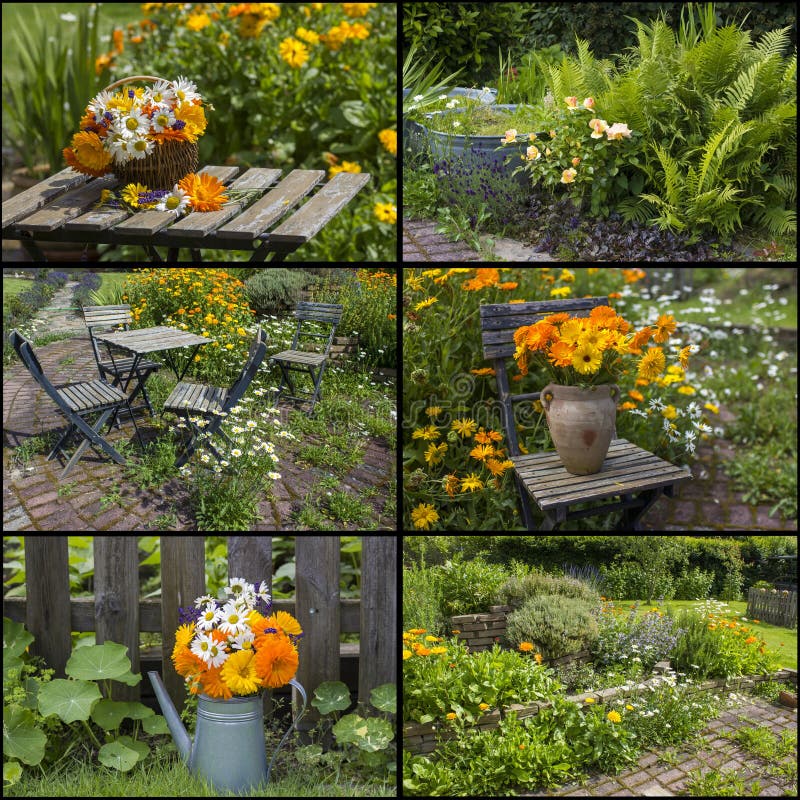 Rustical Garden in the Summer - Collage Stock Photo - Image of ...