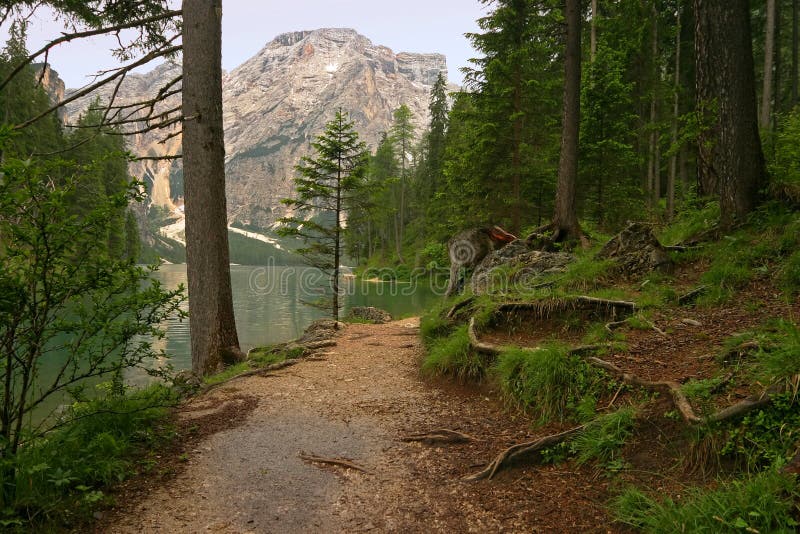 Rustig landschap in Tirol stock afbeelding. Image of alpien - 5210651