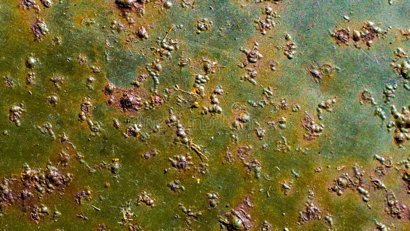 Rusting Old Metal Plate Painted with Green Paint Stock Footage - Video ...