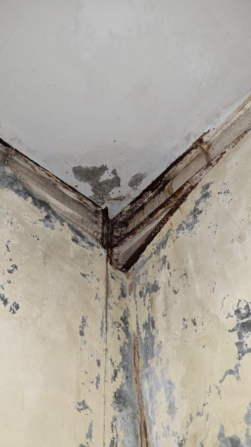 Rusting Wall stock photo. Image of rusting, sketch, line - 263595918