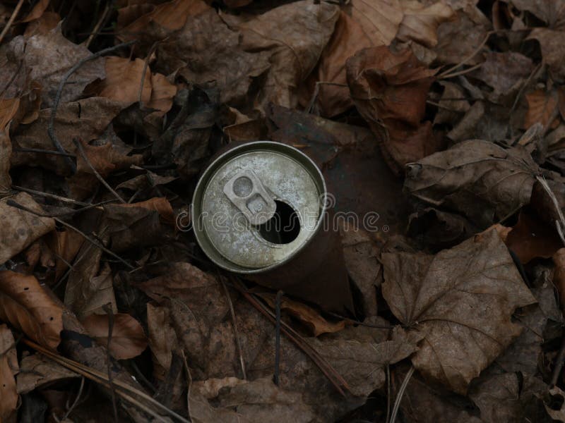 Rustiy tin can outdoors stock photo. Image of bank, landscape - 84639988