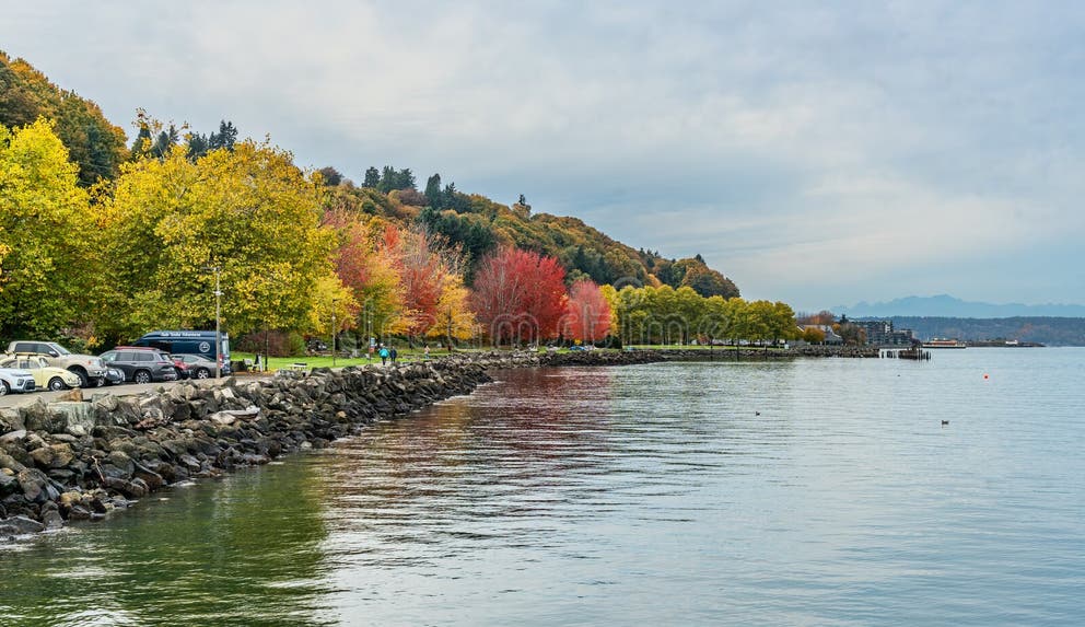 Ruston Autumn Waterfront 3 stock photo. Image of landscape - 296843906
