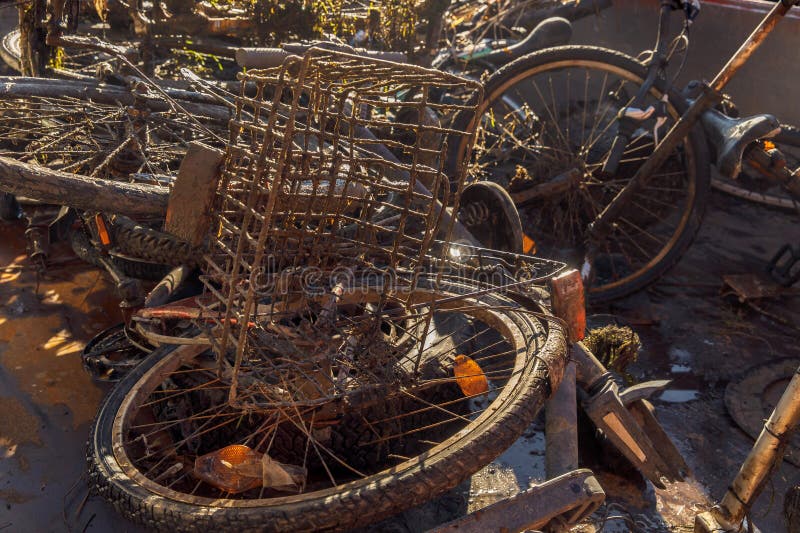 Rusty Abandoned Bicycle in Scrap Yard with Sunlight Reflections ...