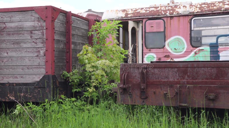A Rusty Abandoned Train in an Overgrown Area. Life after the Apocalypse ...