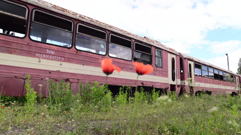 A Rusty Abandoned Train in an Overgrown Area. Life after the Apocalypse ...