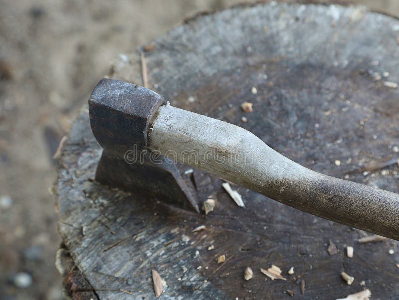 A Rusty Axe Head Sits on a Log Stock Image - Image of chop, tree: 346635123