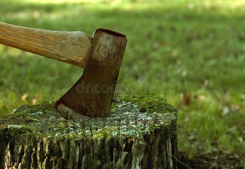 Axe embedded in tree stump stock image. Image of steel - 4877843