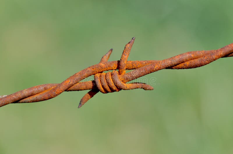 Rusty barbed stock photo. Image of lock, fence, rusty - 18955104