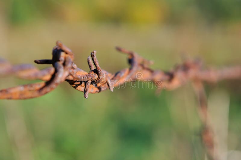 Rusty barbed stock photo. Image of sharp, separation - 34745170