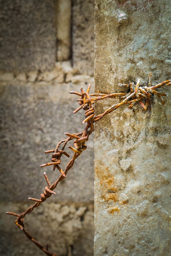 Rusty Barbed on a Concrete Pillar. Stock Image - Image of depth, army ...