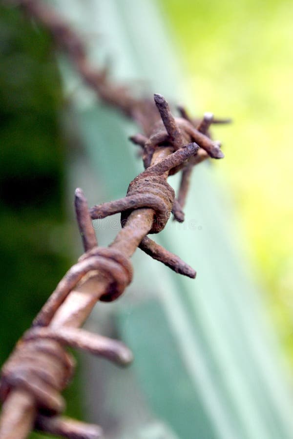 Rusty barbed wire stock photo. Image of close, fence, twist - 7610112