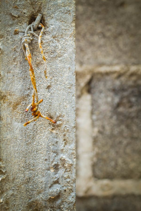Rusty Barbed Wire and Broken Plaster Stock Image - Image of defense ...