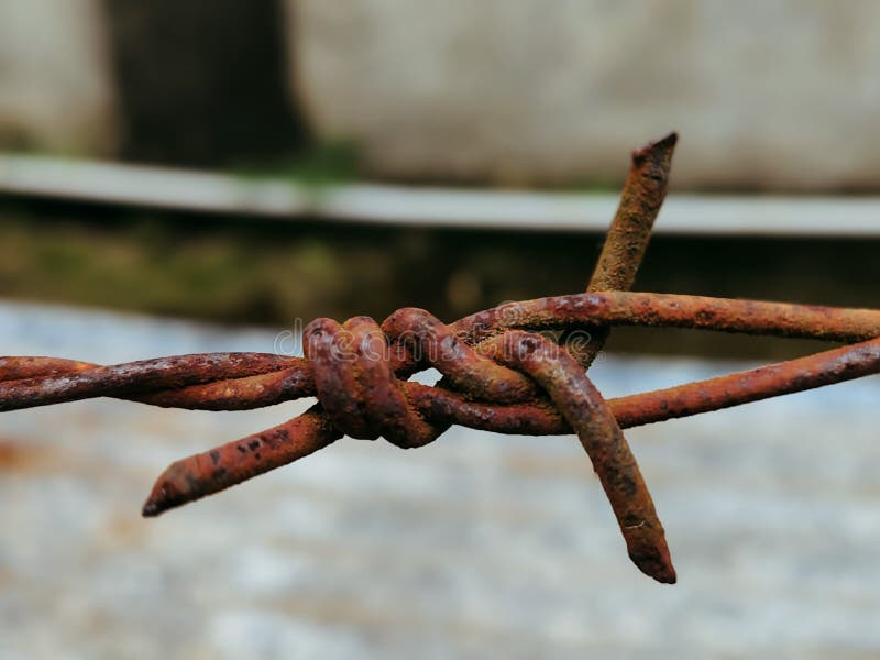 Rusty Barbed Wire Close-Up – Industrial Decay Texture Stock Image ...