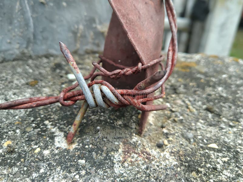 Rusty Barbed Wire Fence on a Rural Road Stock Image - Image of barbed ...