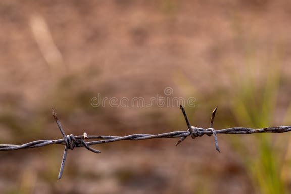 Rusty Barbed Wire Fences are Sharp and Aggressive Stock Image - Image ...