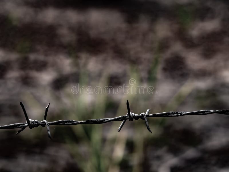 Rusty Barbed Wire Fences are Sharp and Aggressive Stock Image - Image ...