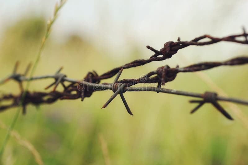 Rusty Barbed Wire Fence with Cobwebs & Blurred Grey & Green Background ...