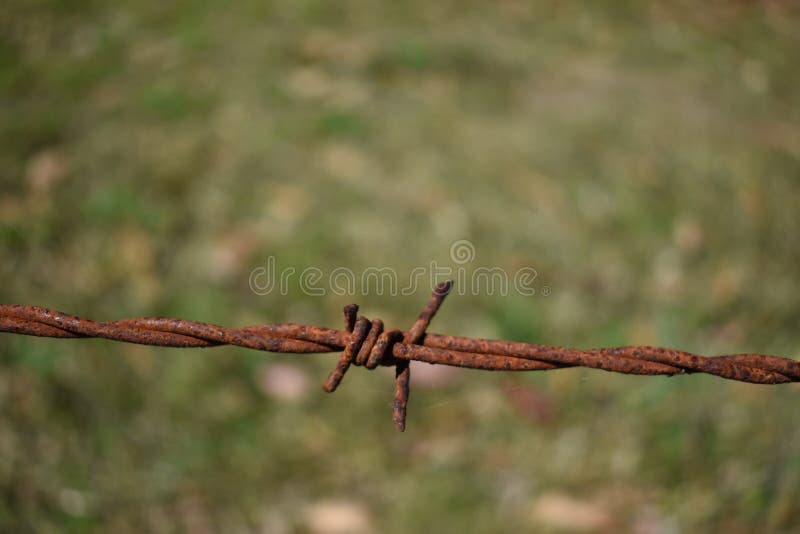 Rusty Barbed Wire Horizontal Stock Image - Image of danger, barb: 99980105