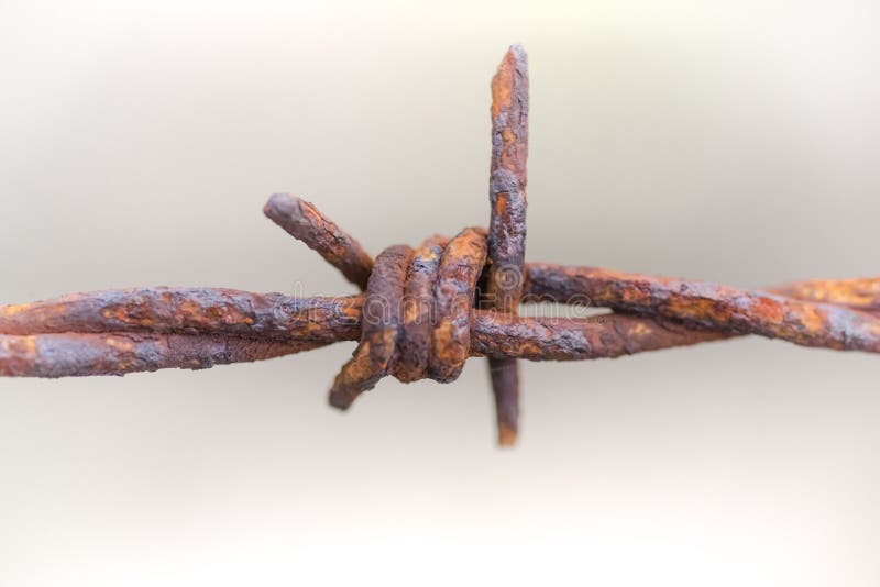 Rusty Barbed Wire Isolated Agains Blurry Bokeh Natural Background Stock ...