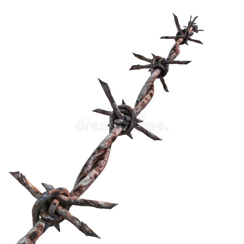4,556 Barbed Isolated Wire Stock Photos - Free & Royalty-Free Stock ...