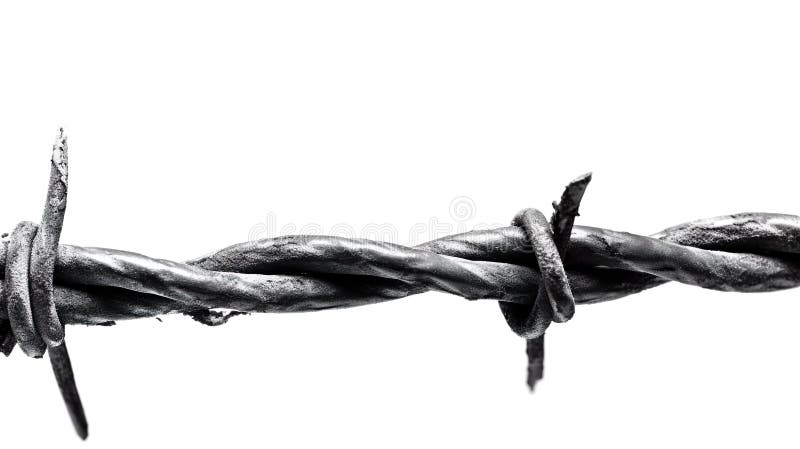 Rusty Barbed Wire Isolated on Transparent Background Stock Illustration ...