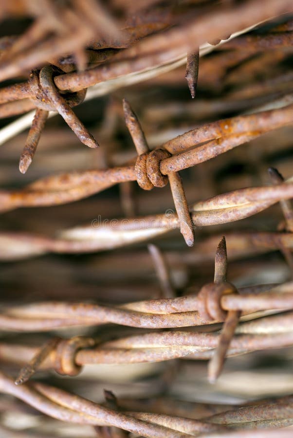 Rusty Barbed Wire Macro stock photo. Image of boundary - 39907622