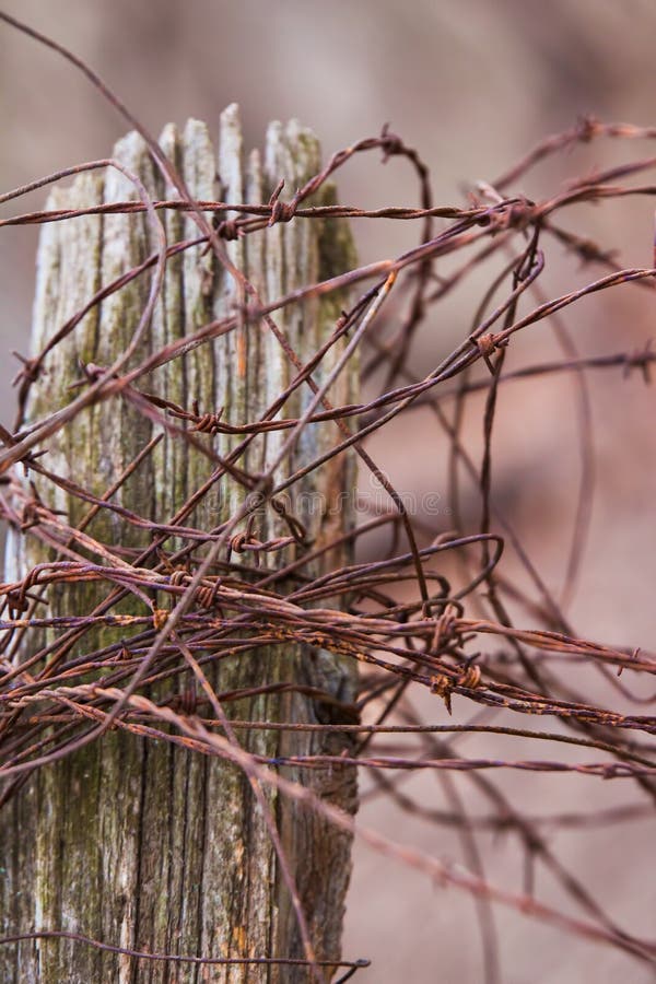 Rusty Barbed Wire on Rustic Fence Post - Close Up Stock Image - Image ...