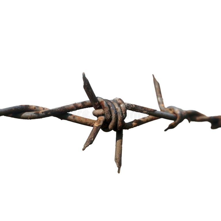 Rusty Barbed Wire on Transparent Background Stock Photo - Image of ...