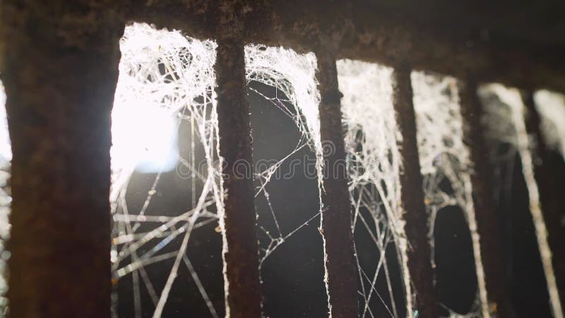 Rusty Bars of Old Abandoned Prison Door with a Spider Web Growing ...