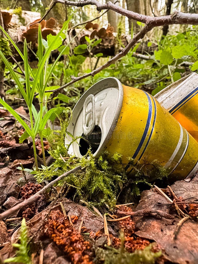 Rusty Beer Can in the Forest Stock Image - Image of green, dirty: 315930361