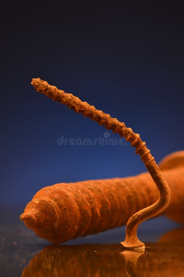 Rusty, Bent, Gnarled, Worn Screws Stock Image - Image of disabled ...
