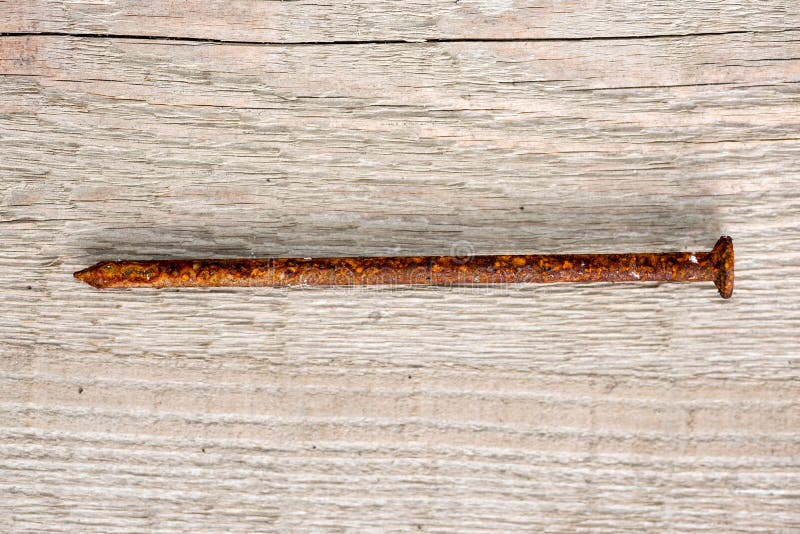 A rusty big and long nail. stock image. Image of nailhead - 170452319