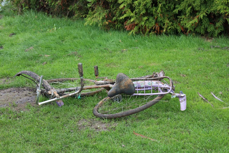 Rusty Bikes on the Water S Edge after Dredging the Ring Canal Stock ...