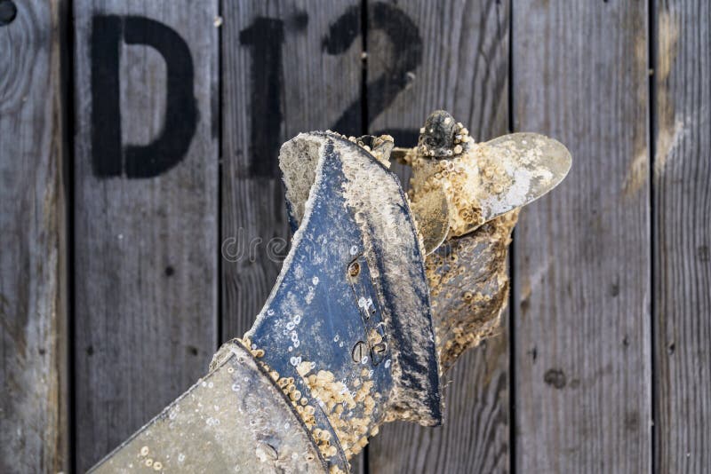 462 Steam Boat Propeller Stock Photos - Free & Royalty-Free Stock ...