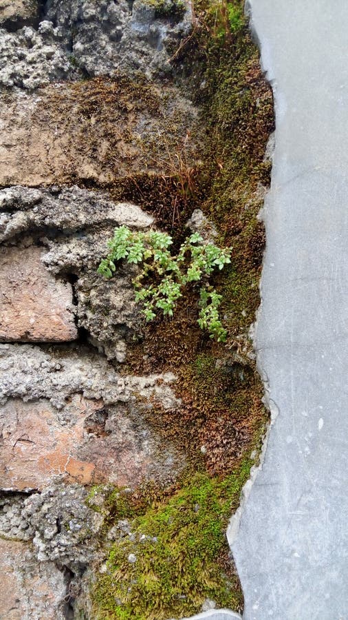 Rusty brick stone pattern stock image. Image of stone - 93538173