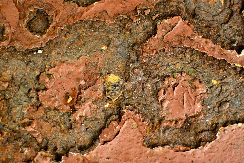 111 Metal Fridge Texture Photos - Free & Royalty-Free Stock Photos from ...