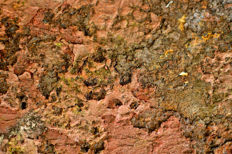 Rusty brown paint stock photo. Image of pattern, peeling - 163168784
