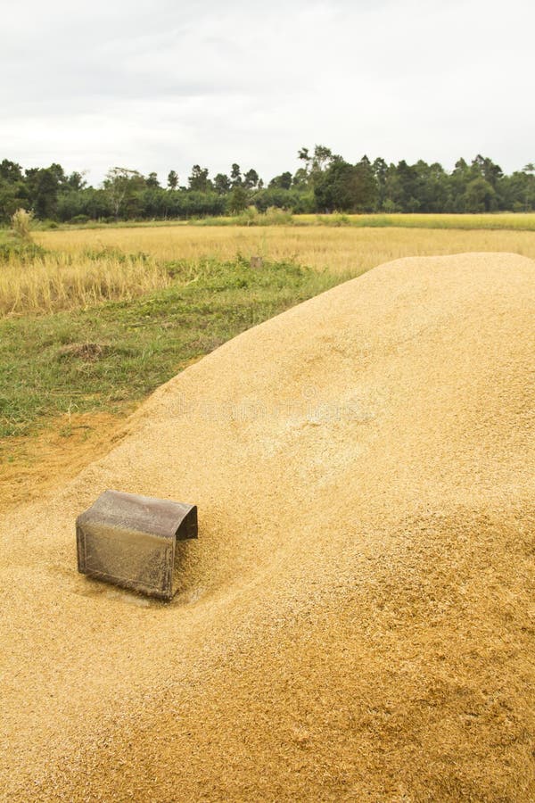 Rusty bucket in chaff stock photo. Image of texture, single - 28770392