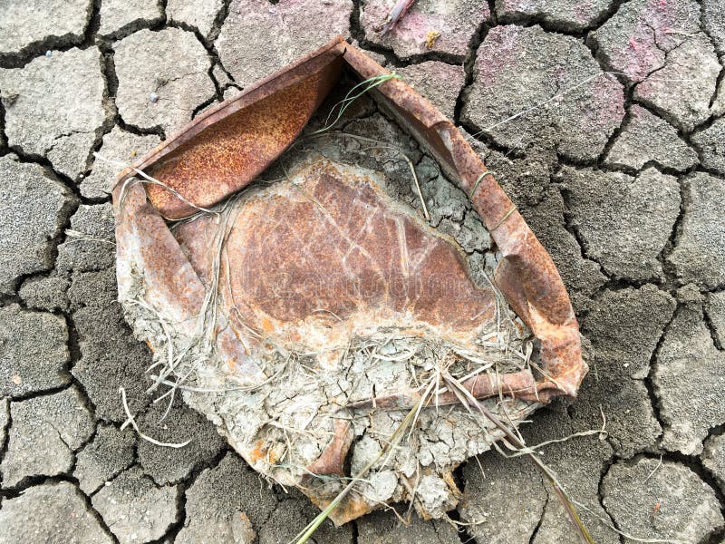 Rusty Bucket Dry Crack Soil Stock Photos - Free & Royalty-Free Stock ...