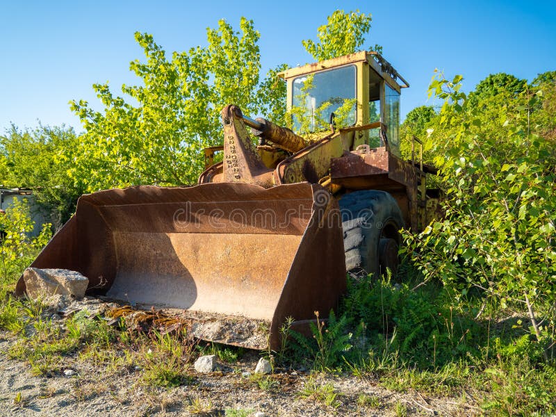 Rusty Bulldozer in Green Bush Stock Photo - Image of sunny, glass ...