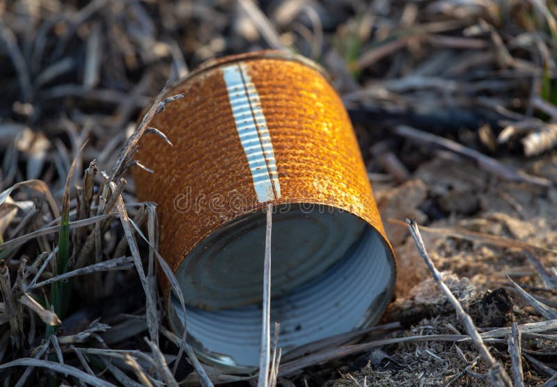 Rusty Can on Grass in Nature Stock Image - Image of rust, white: 142767515