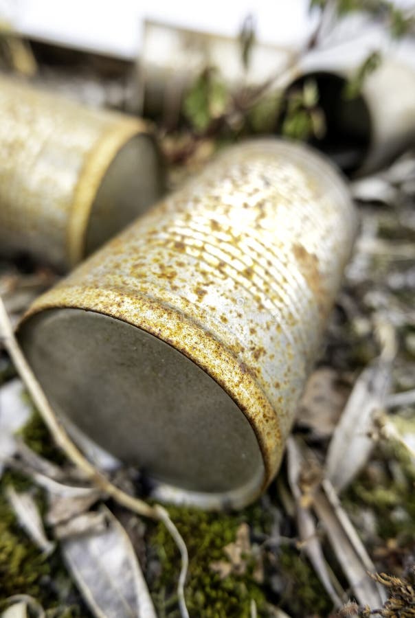 Rusty can in nature stock photo. Image of rusty, rough - 316106756