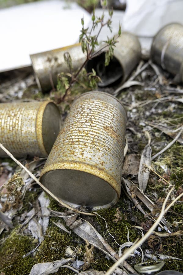Rusty can in nature stock photo. Image of pattern, aging - 317984800