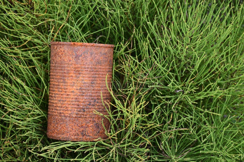 A rusty can stock photo. Image of tree, yard, flooring - 257033302