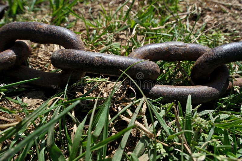 Rusty Chain on Green Grass, Close-up. Stock Photo - Image of chains ...